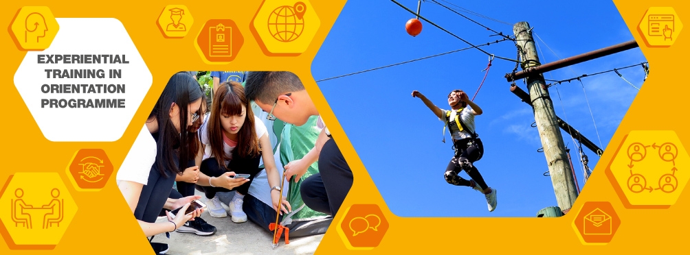 Executive Trainee Programme