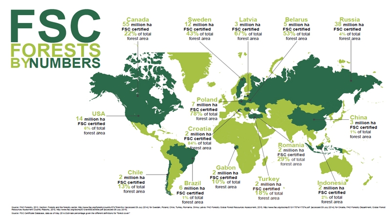 Sustainability in the Wood and Paper Supply Chain | HKTDC Research