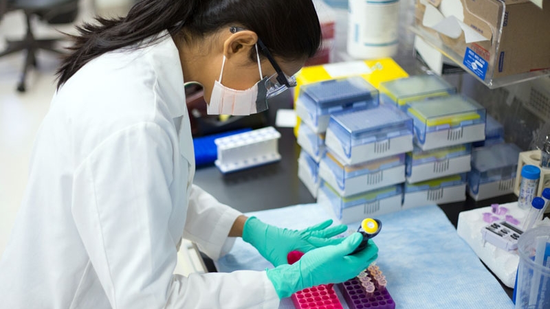 Guangdong Announces Rules for Random Sampling Inspections of 31 ...