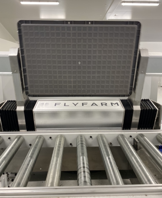 The Road to Net Zero: Bioconversion’s Bug Breakthrough | HKTDC Research