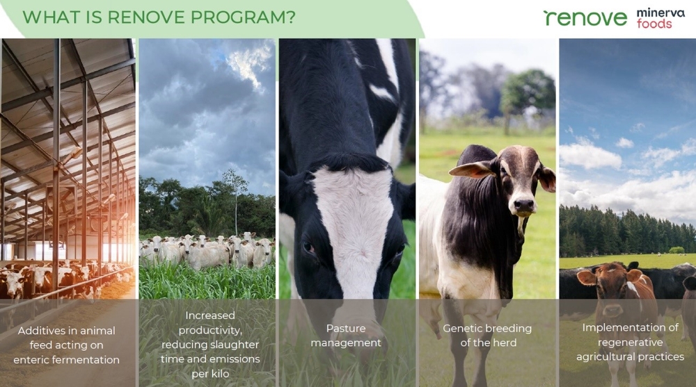 The Road to Net Zero: Carbon Neutral Meat | HKTDC Research