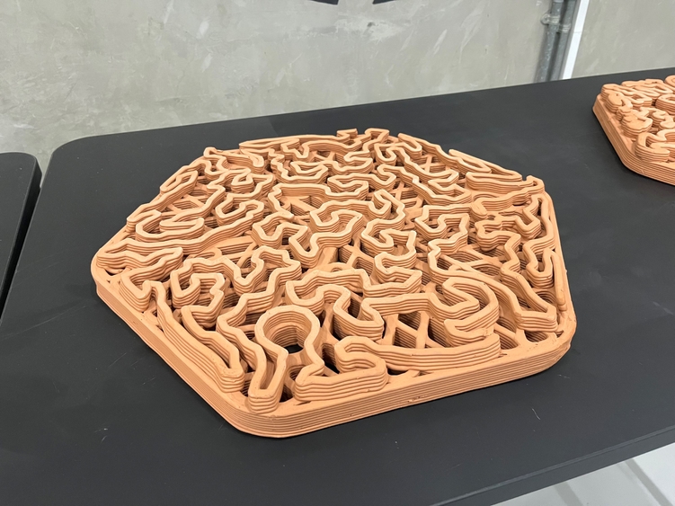 Middle East Opportunities: Restoring the Reefs of the UAE | HKTDC Research