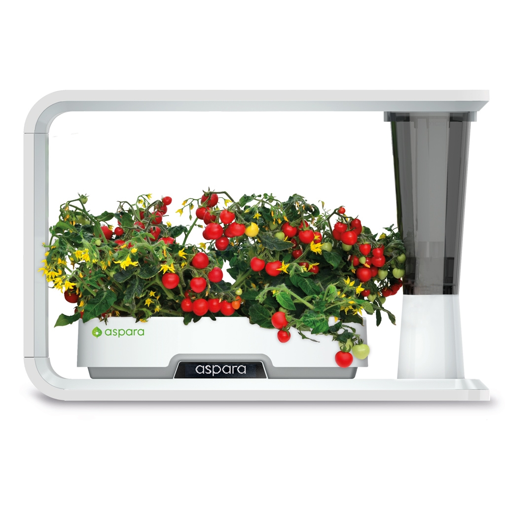 Showcase | DesignInspire